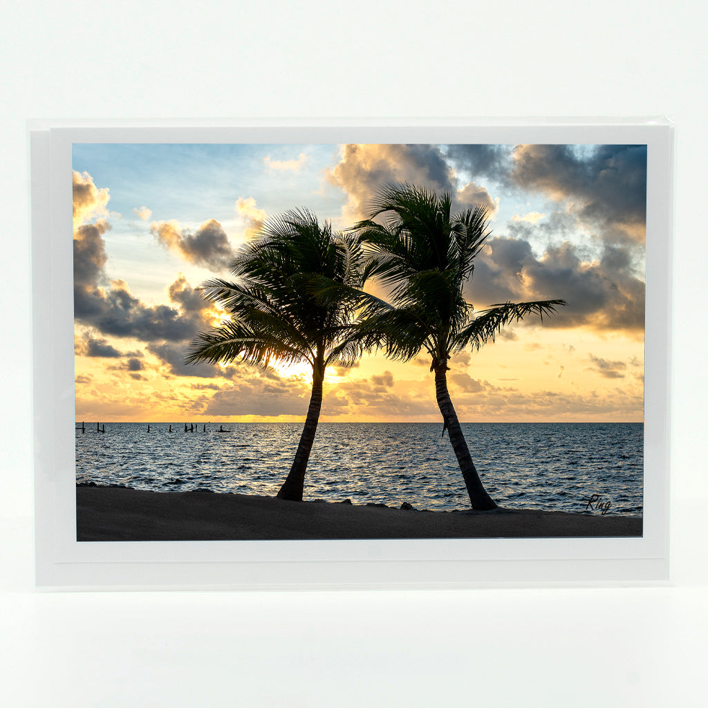 Coconut Dance 1 Gifts – Mike Ring Photography